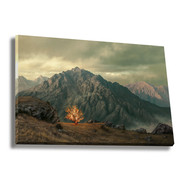 Holy Ground | Canvas – art & olive